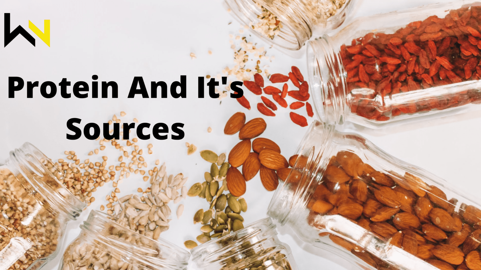 Sources Of Protein | What is Protein And Types Of It | Recipe | WN
